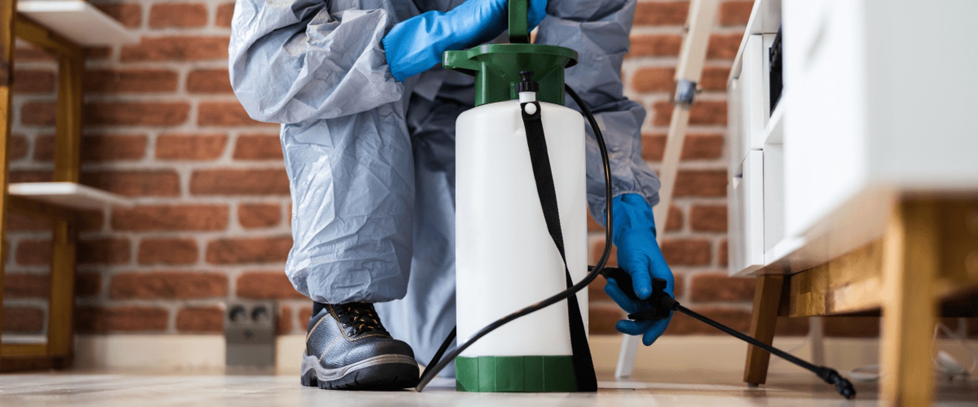 Pest Control & Extermination - Midwest Pest Control